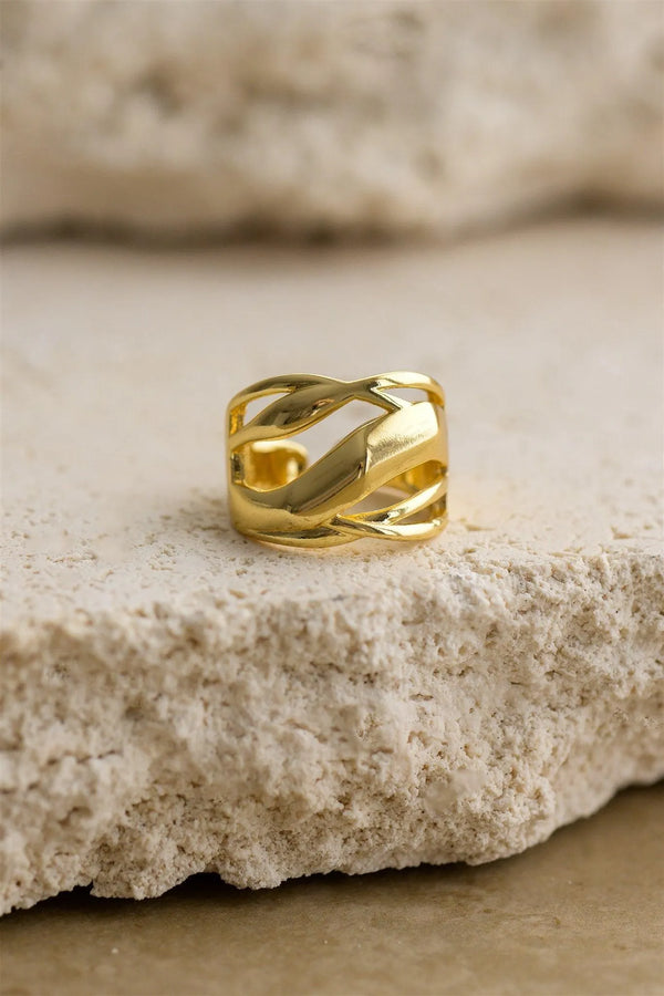 Indigo and Wolfe Paris Ring S925 Gold Plated Adjustable Ring – the tartan fox